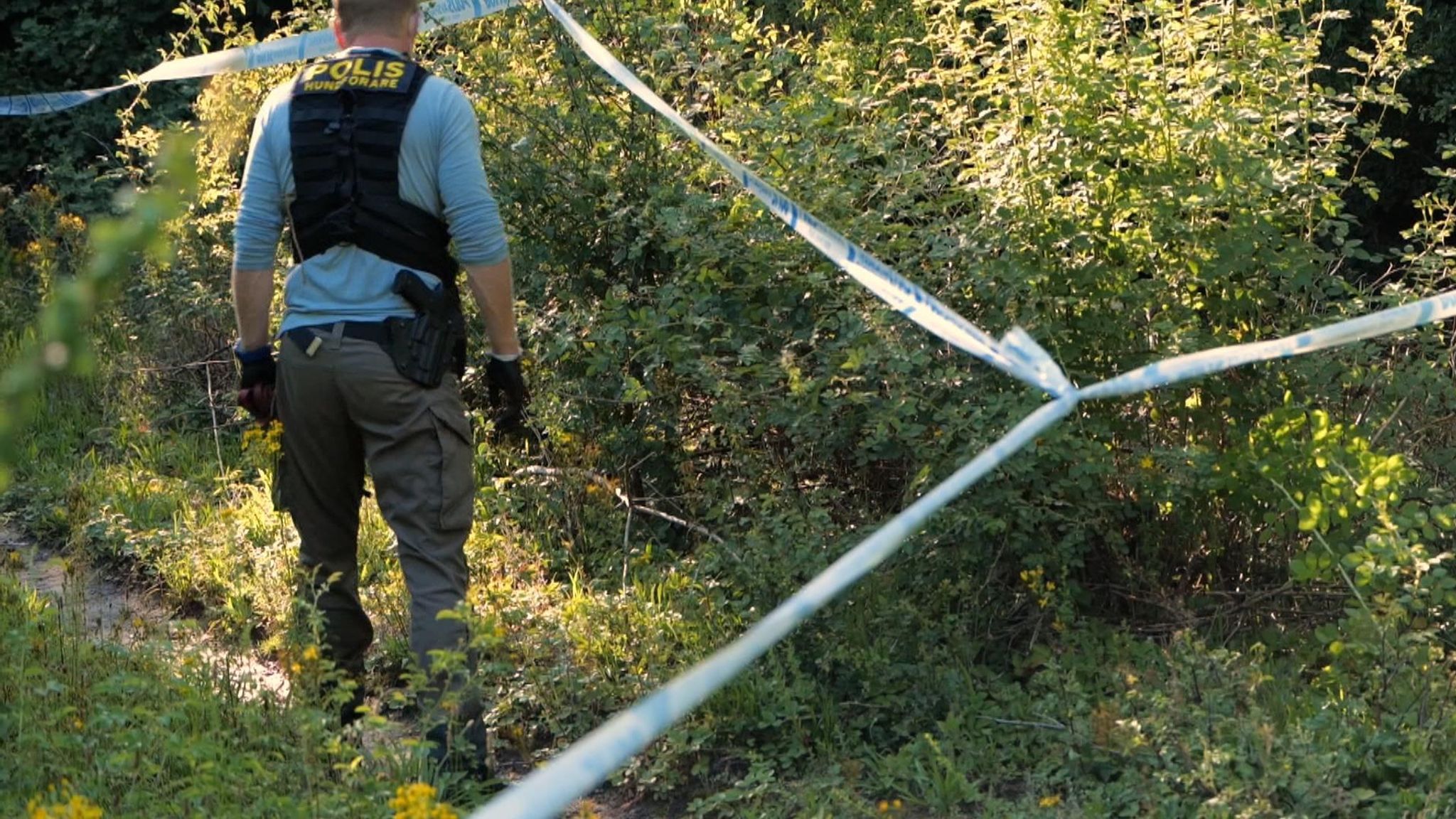 Two Britons missing in Sweden as bodies found in burnt-out car | World ...