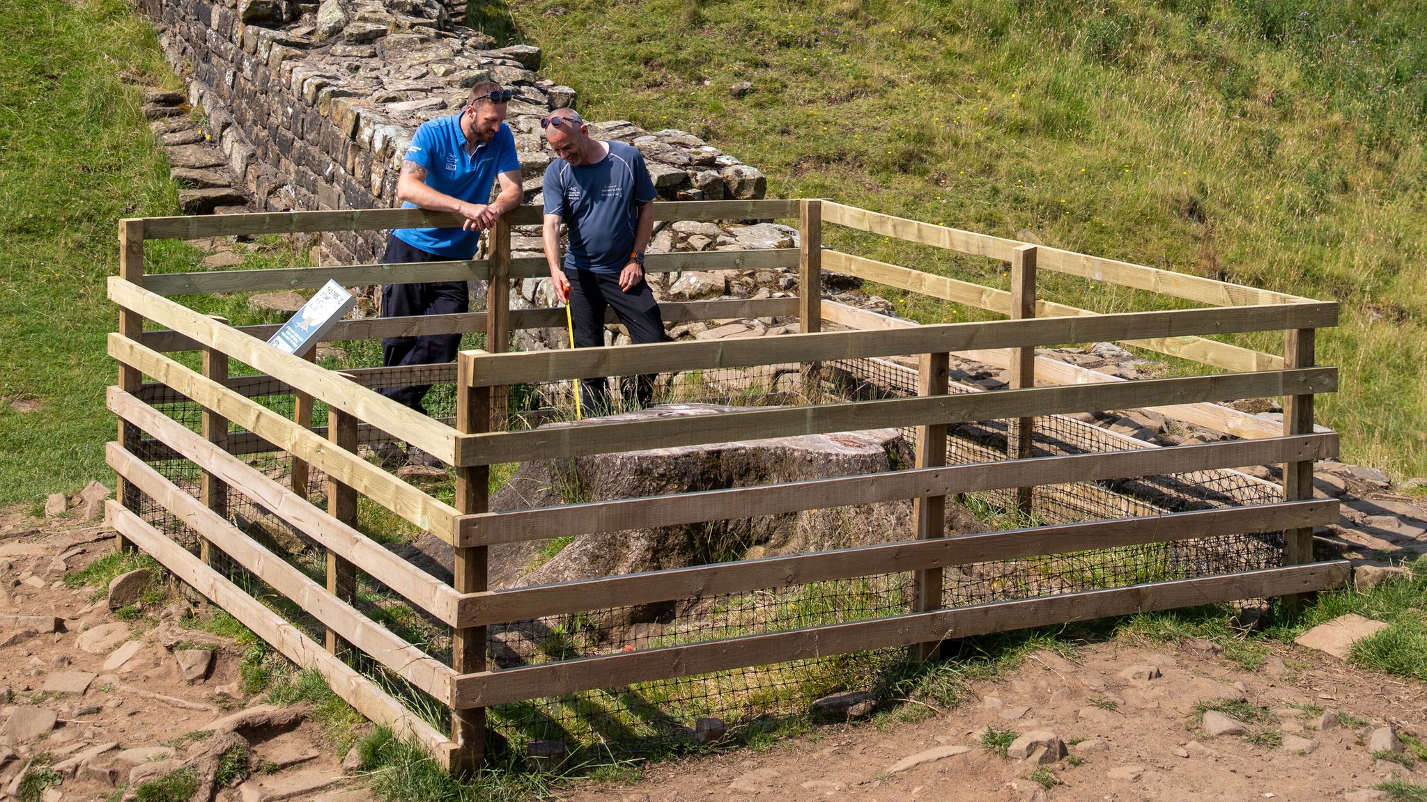 Eight new shoots emerge from Sycamore Gap stump | UK News | Sky News