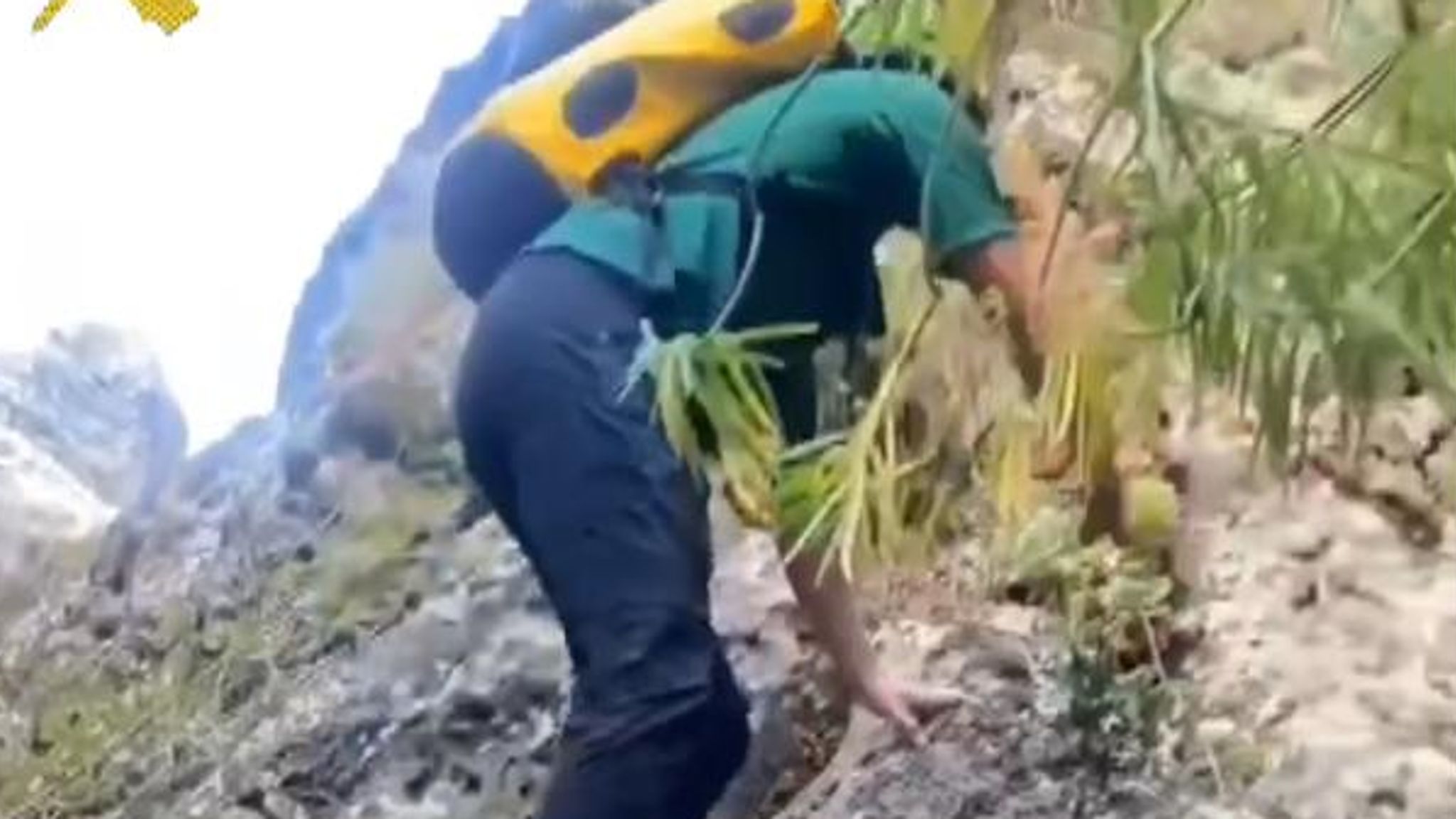 Jay Slater: Body found in search for British teenager - with ...