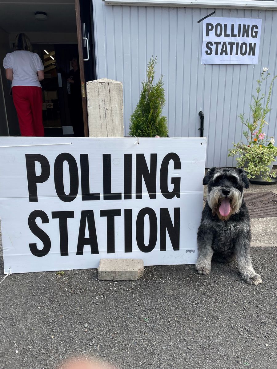 Dogs at polling stations: Your best pictures as general election takes ...