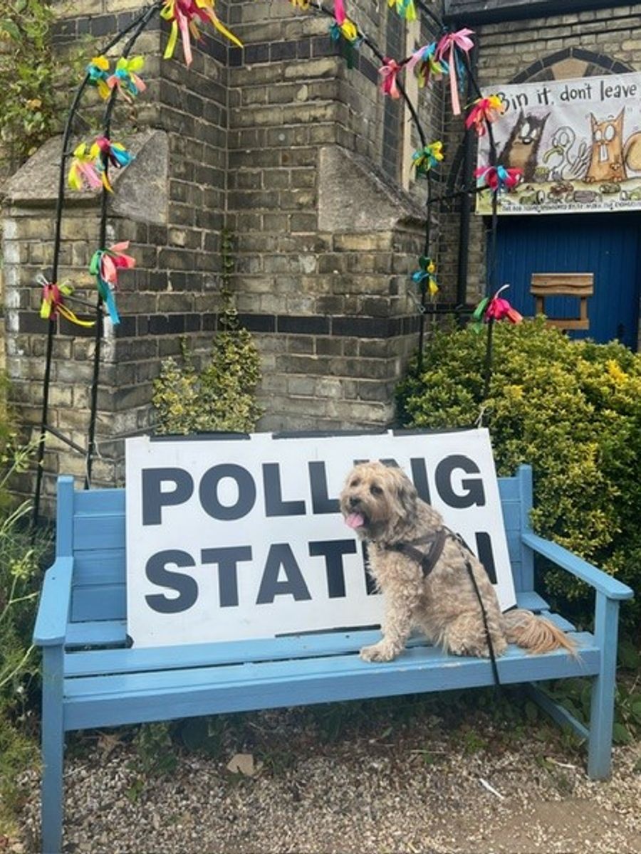 Dogs at polling stations: Your best pictures as general election takes ...