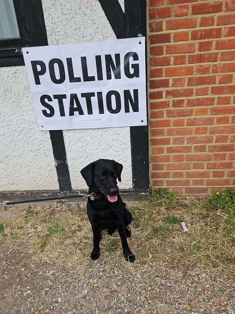 Dogs at polling stations: Your best pictures as general election takes ...