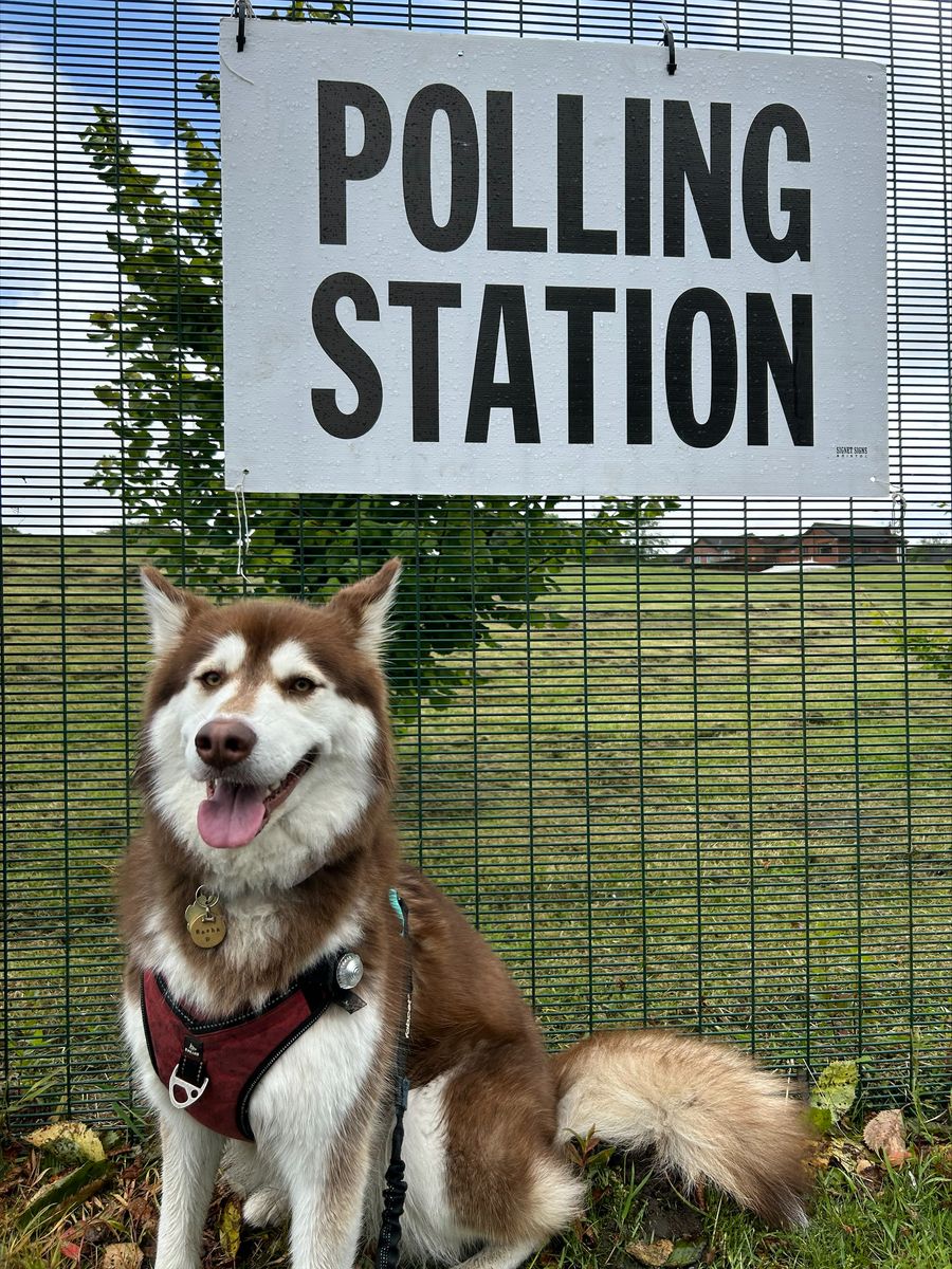Dogs at polling stations: Your best pictures as general election takes ...