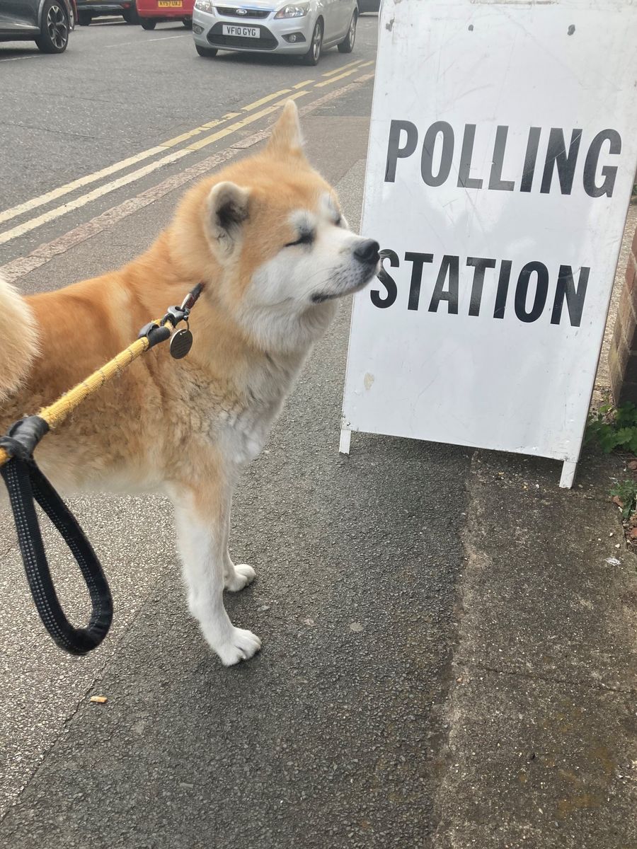 Dogs at polling stations: Your best pictures as general election takes ...