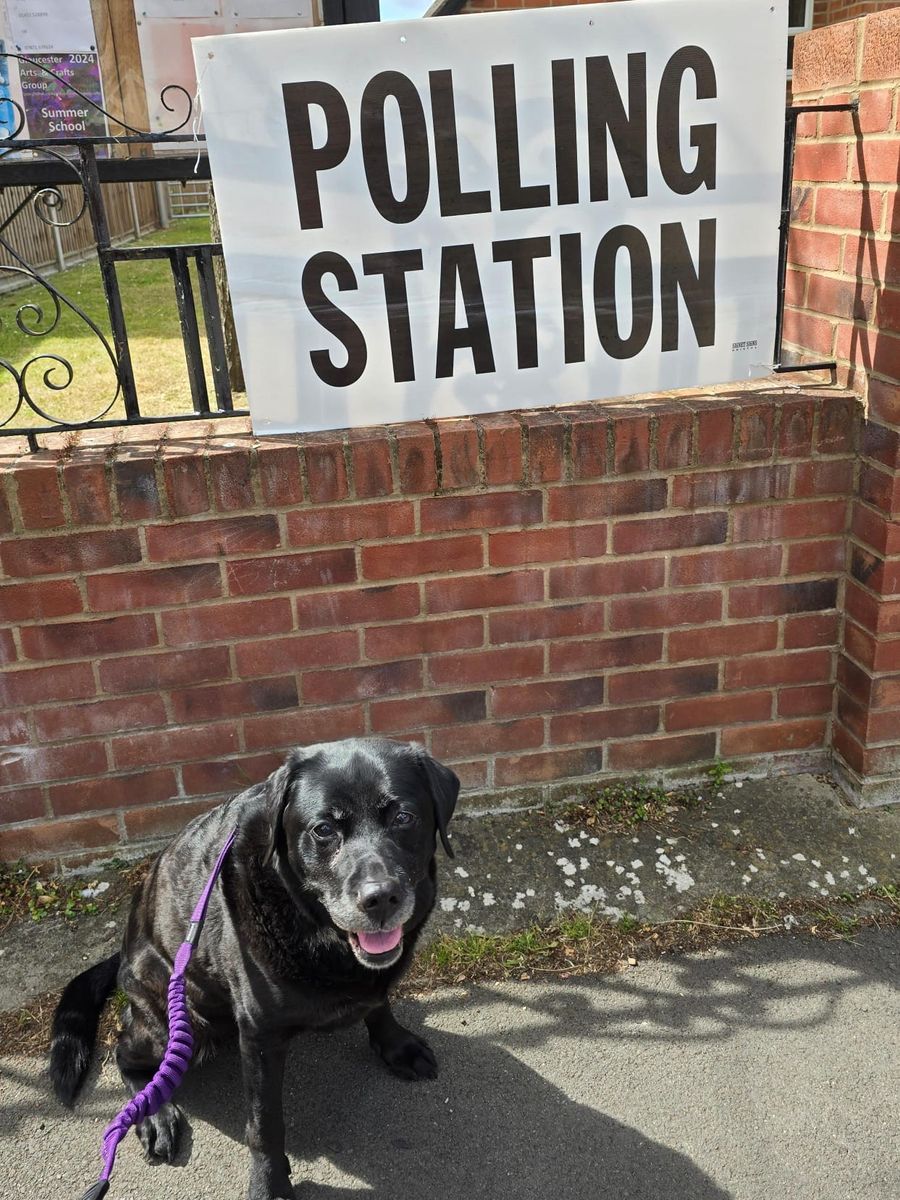 Dogs at polling stations: Your best pictures as general election takes ...