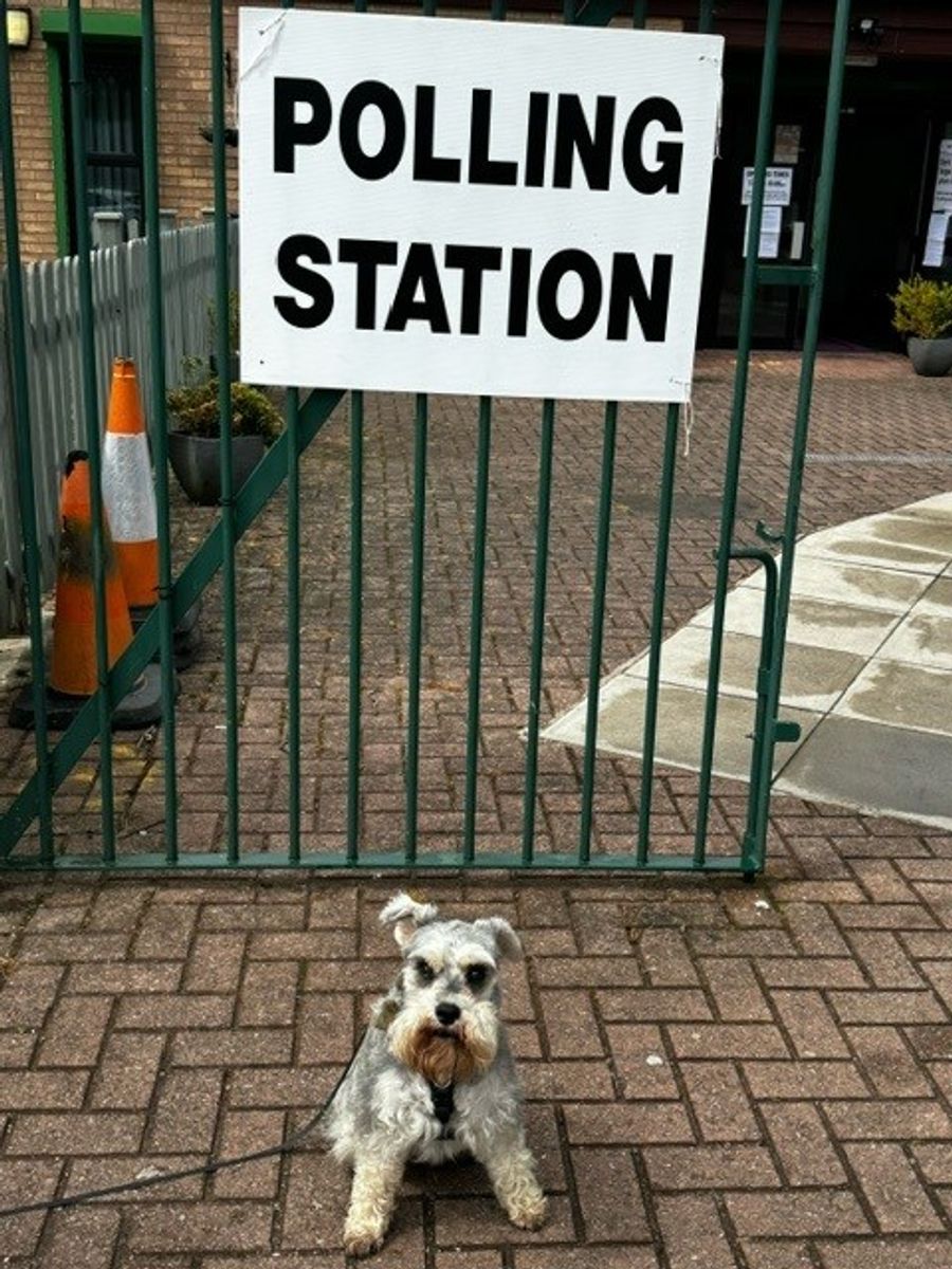 Dogs at polling stations: Your best pictures as general election takes ...
