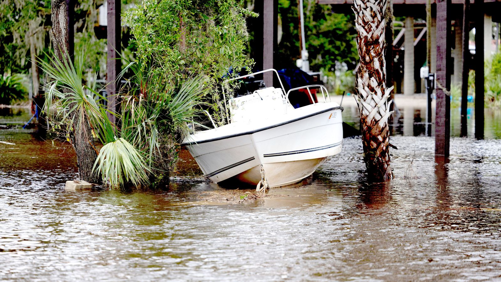 Children among six dead as Storm Debby brings catastrophic flooding to ...