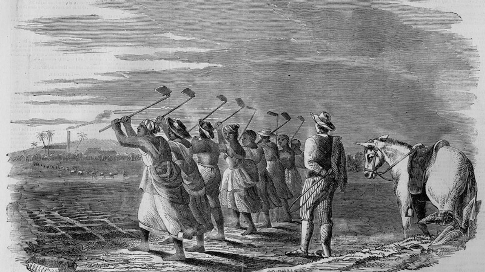 The curious tale of Kamala Harris and the Irish slave owner | UK News ...