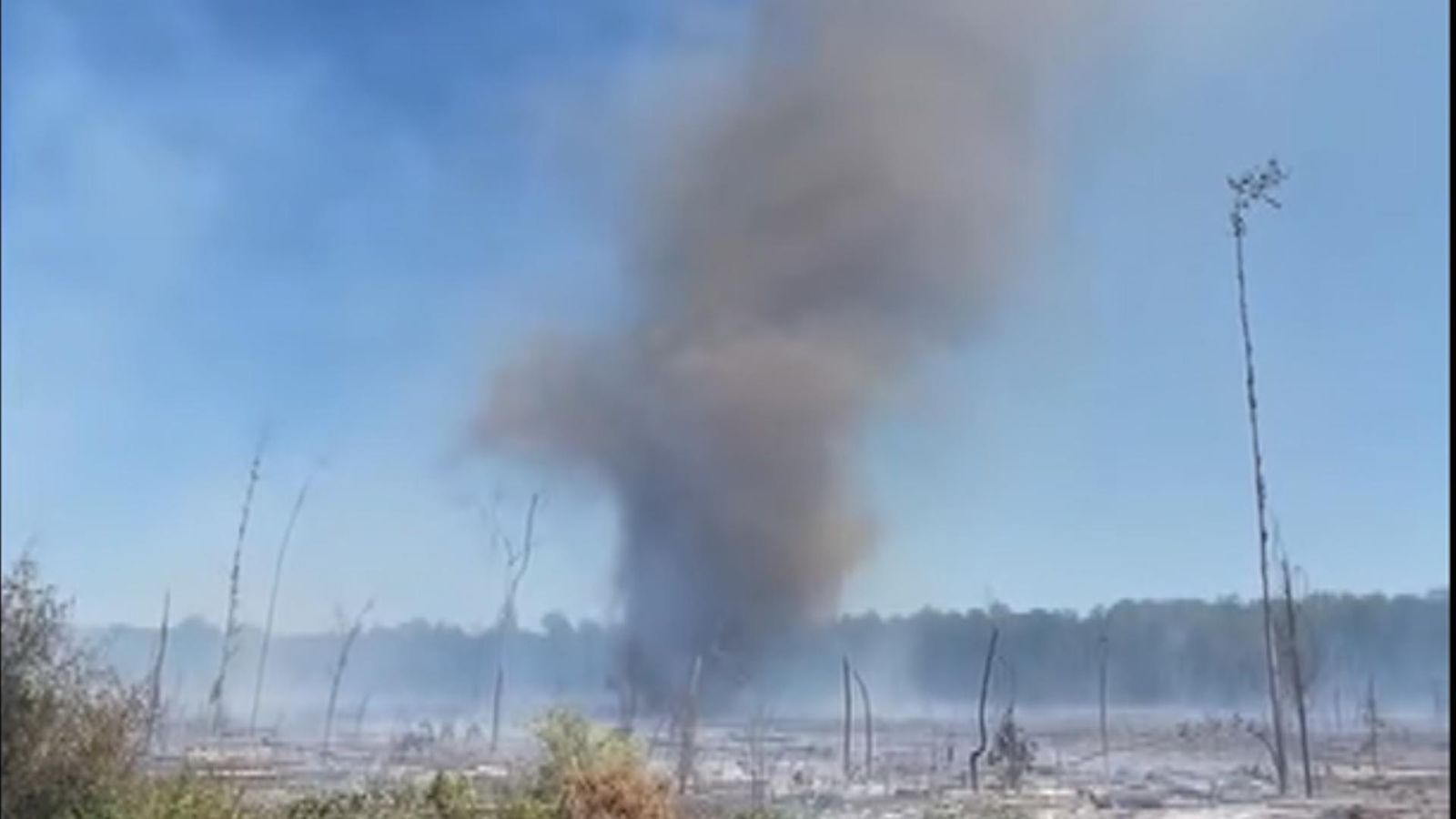 'Firenado' filmed during prescribed burn in Mississippi | US News | Sky ...