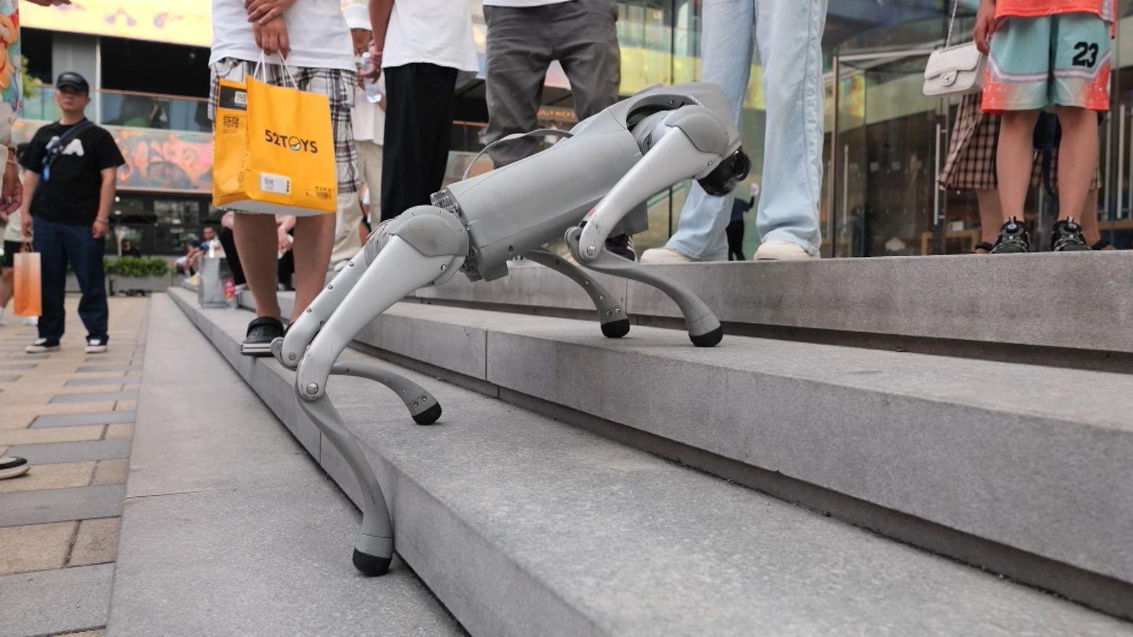 China's robotic dogs still a novelty to most - as firms grapple with ...