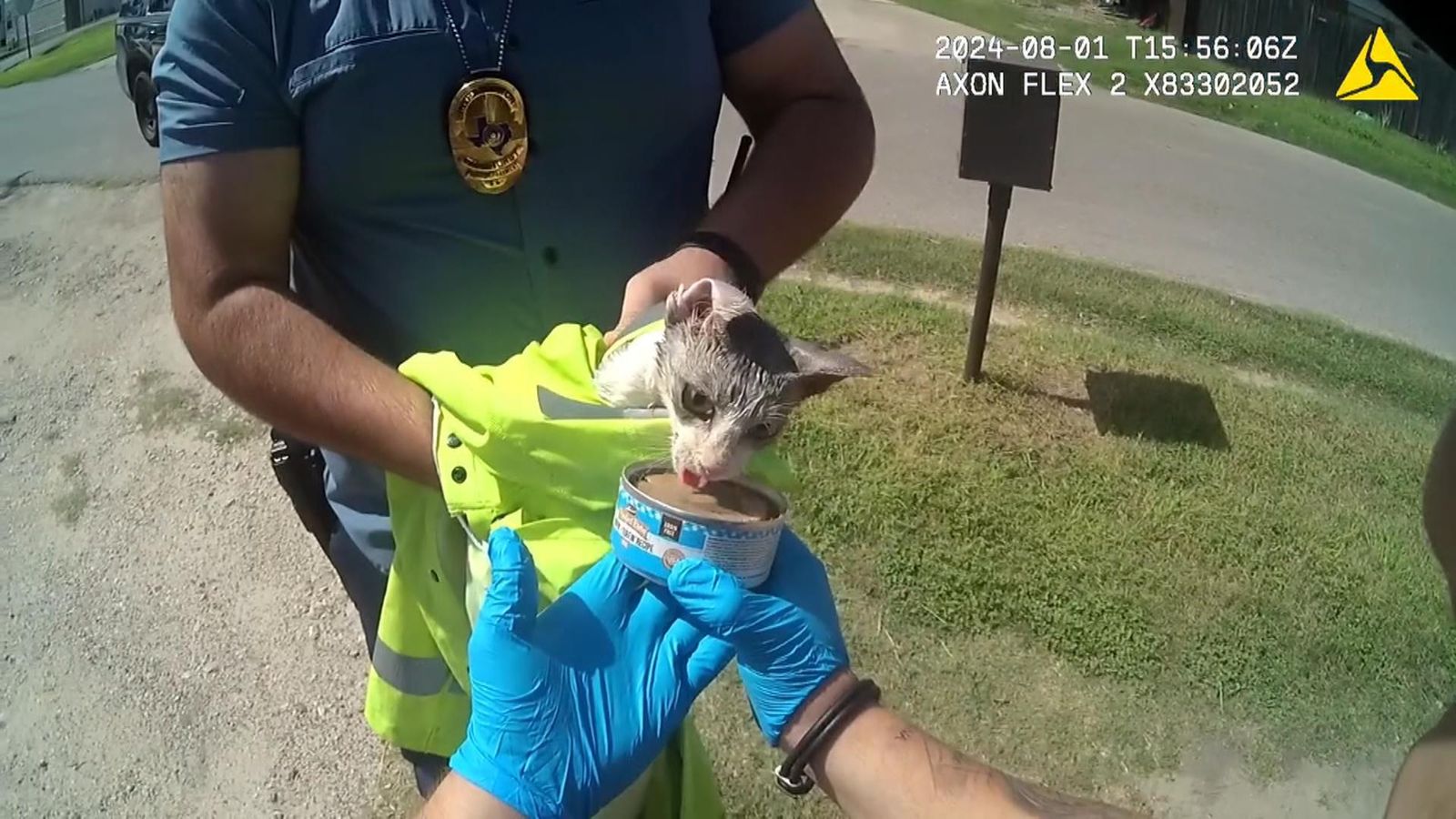 US: Police officers in Texas free cat with head trapped in jar | US ...