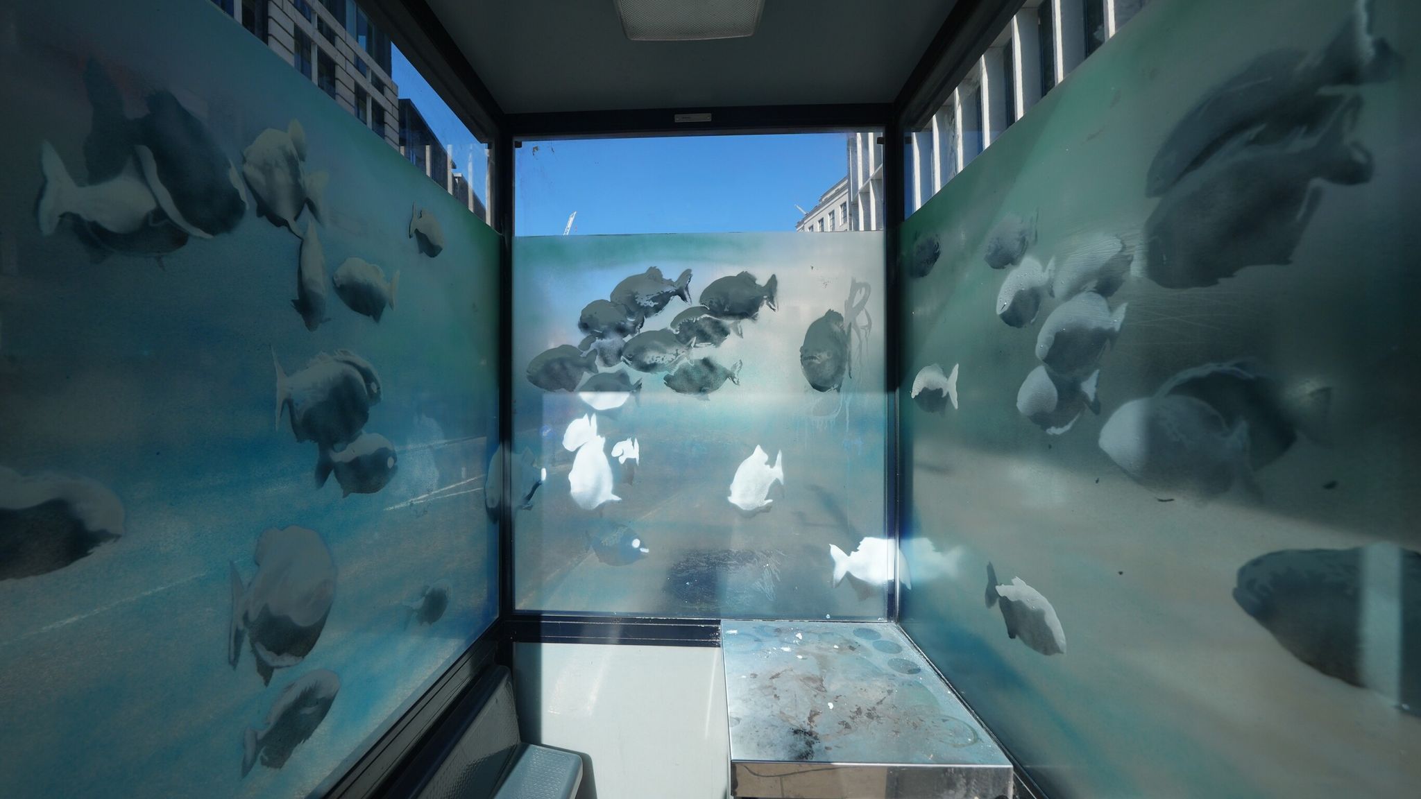 Banksy unveils yet another mystery animal mural | Ents & Arts News ...