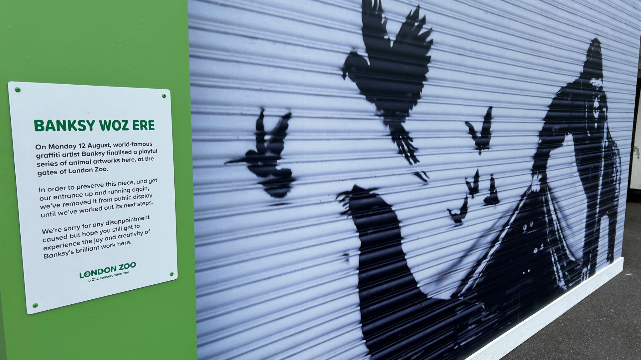 London Zoo removes Banksy artwork | UK News | Sky News