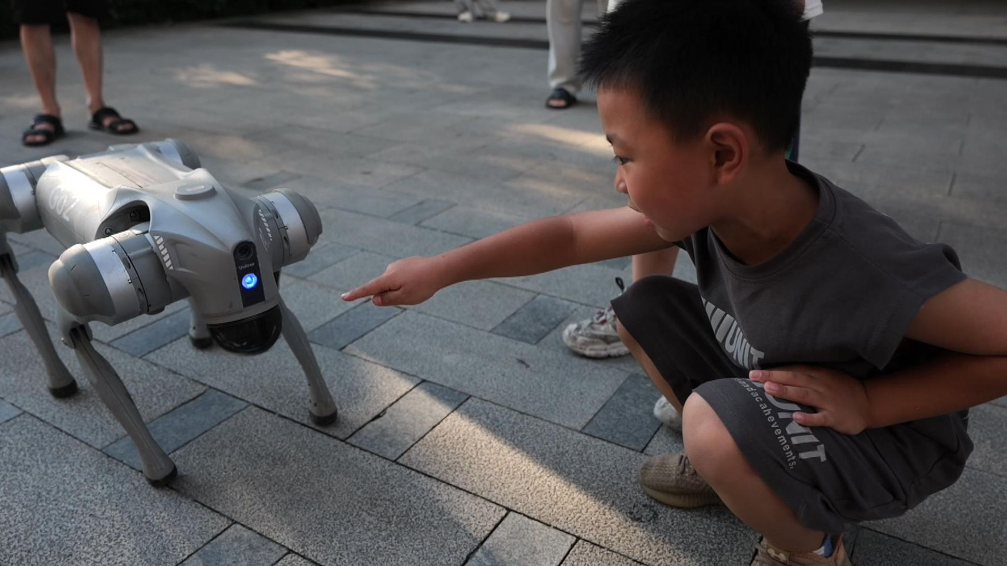 China's robotic dogs still a novelty to most - as firms grapple with ...