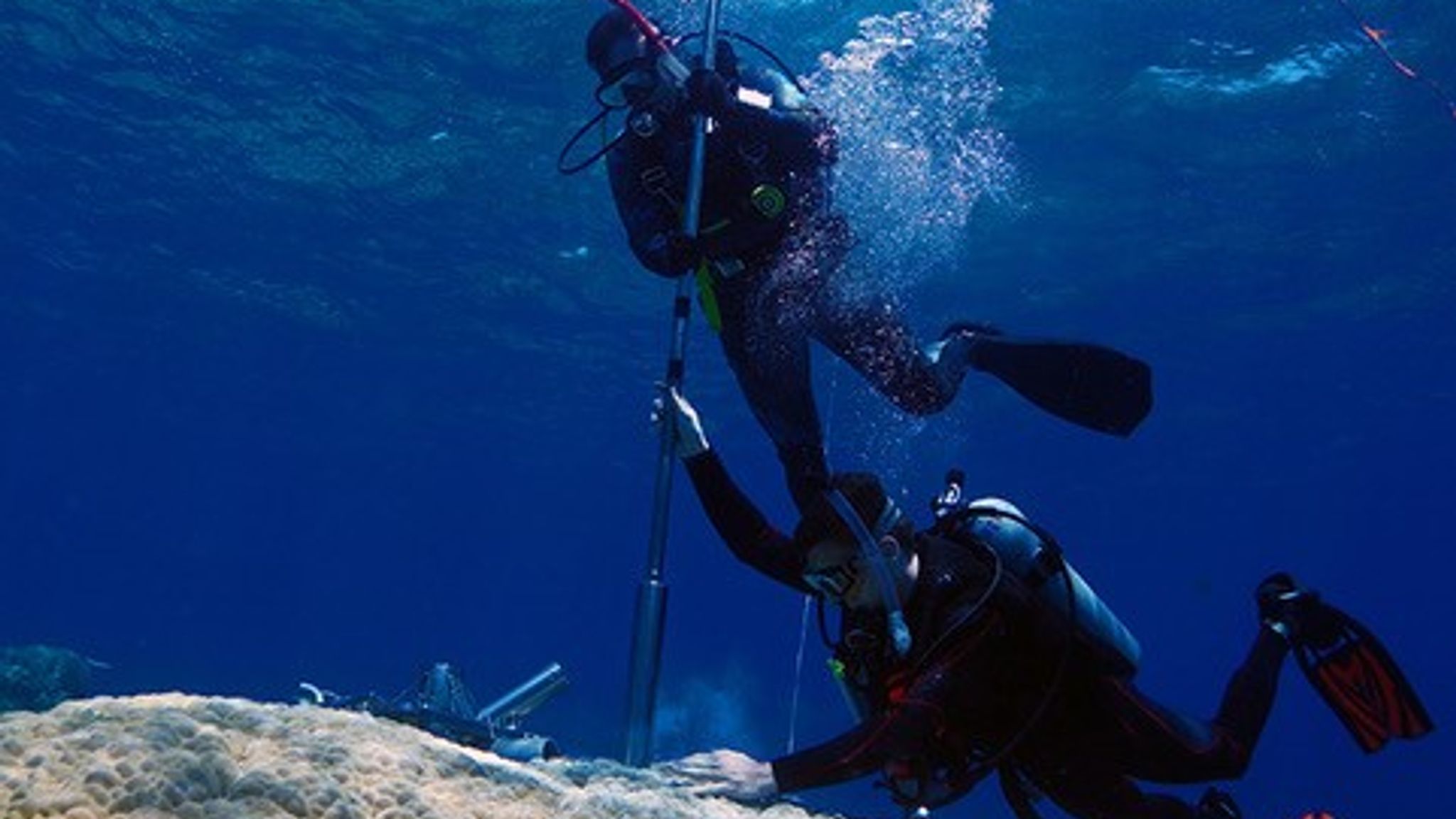 'The coral in the coalmine': Seas around Great Barrier Reef hottest in ...