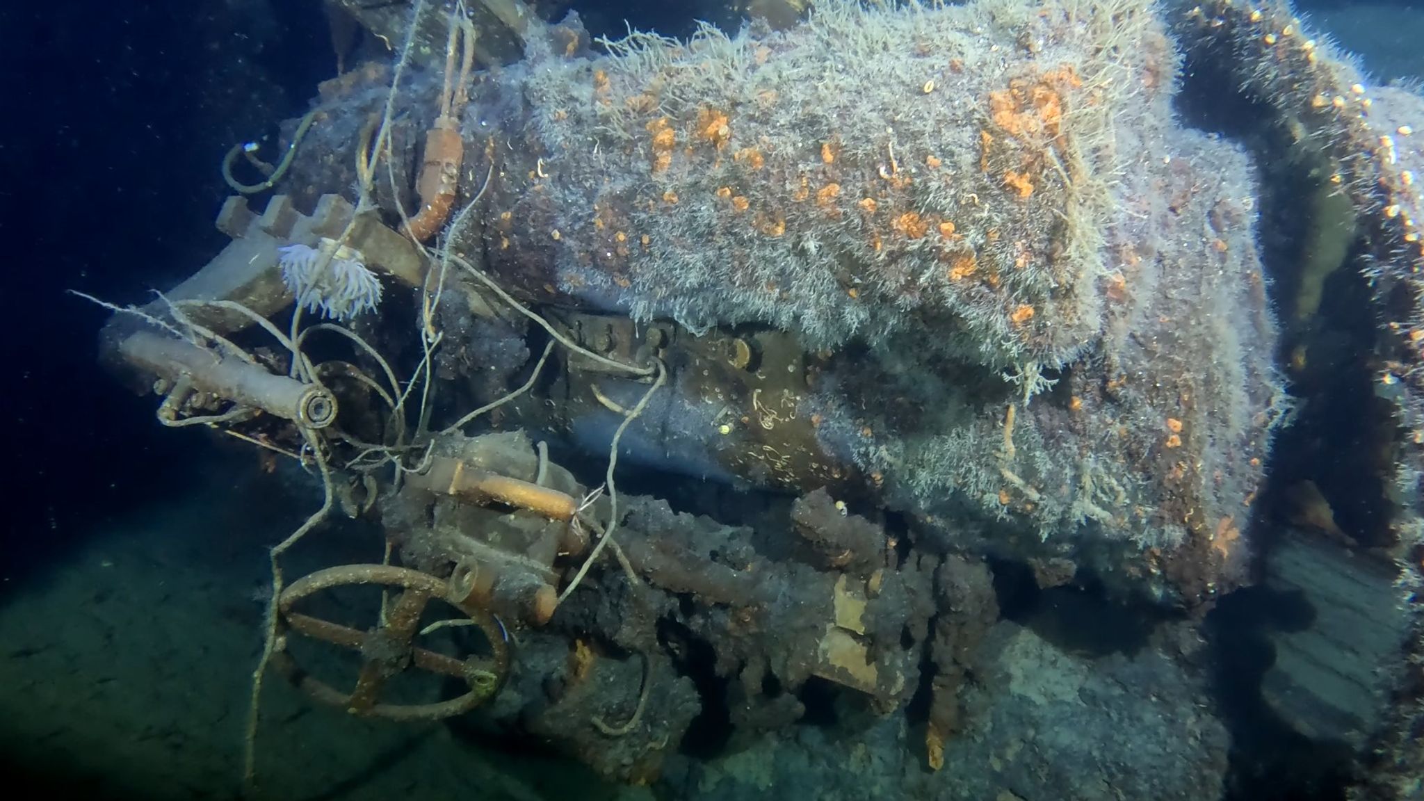 HMS Hawke: Discovered wreck believed to be First World War ship sunk by ...