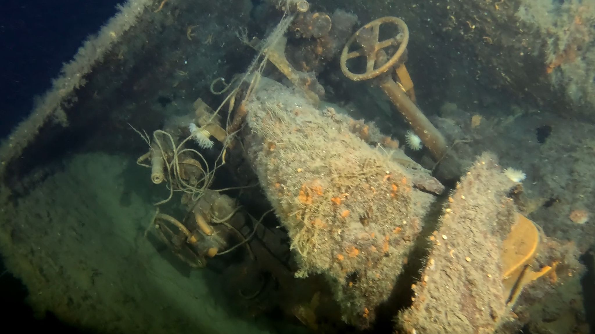 HMS Hawke: Discovered wreck believed to be First World War ship sunk by German torpedo | UK News ...