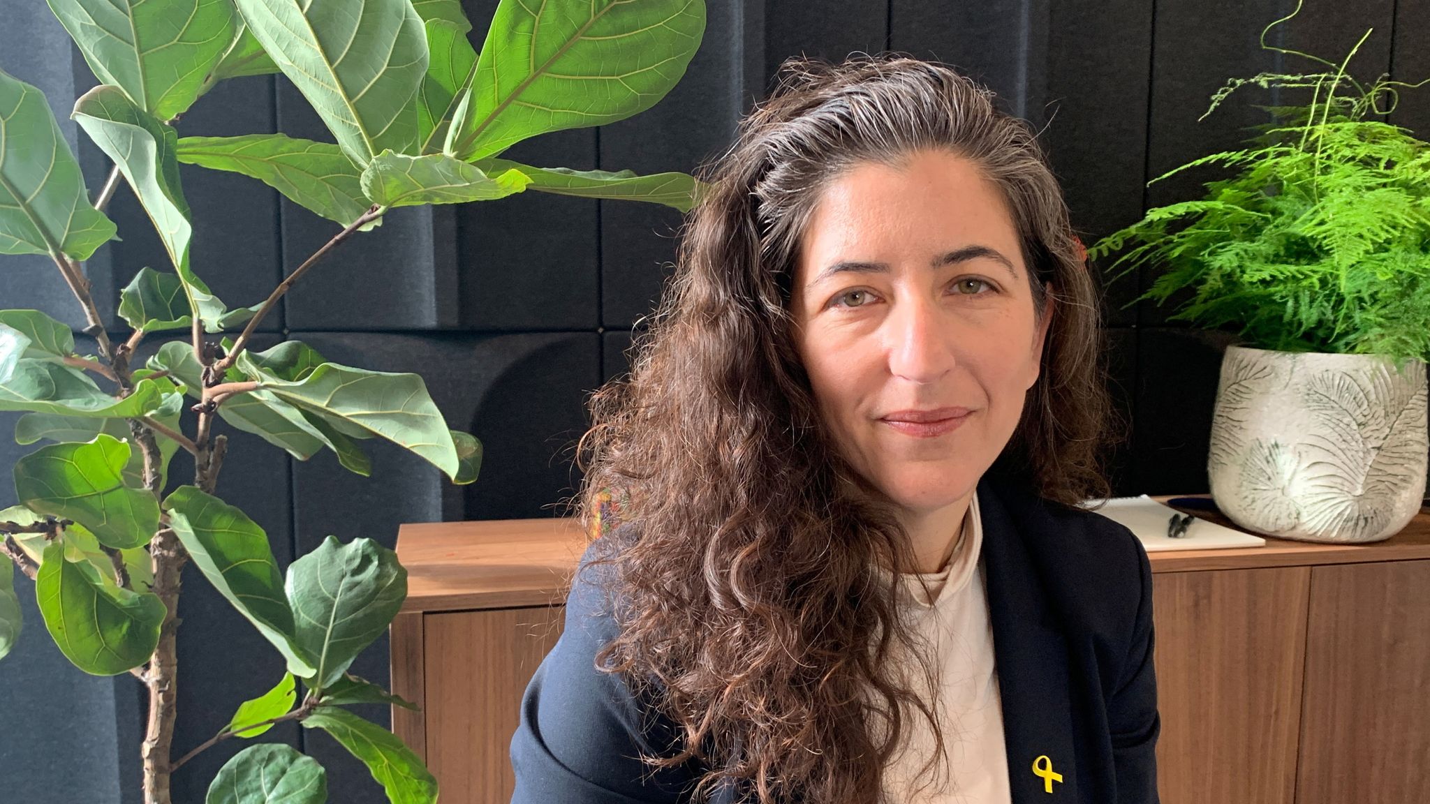 'Make this happen': Daughter of Israeli hostage killed in captivity ...