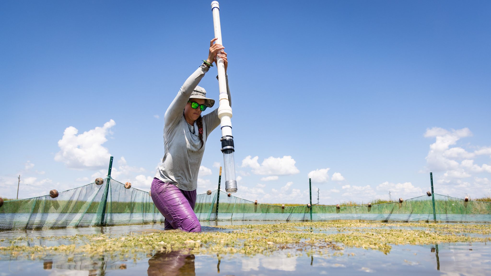 Science in pictures: Whale sharks, birds, coral and wasps win ...