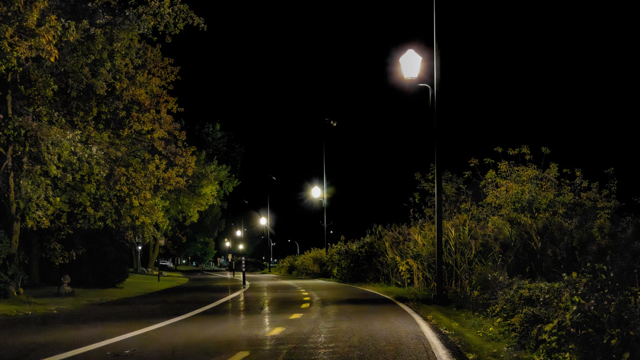 Trees At Night Street Light Why Solar Street Lights Outshine