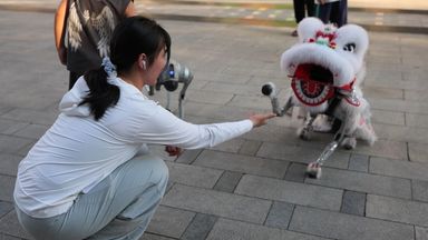 China's robotic dogs still a novelty to most - as firms grapple with ...