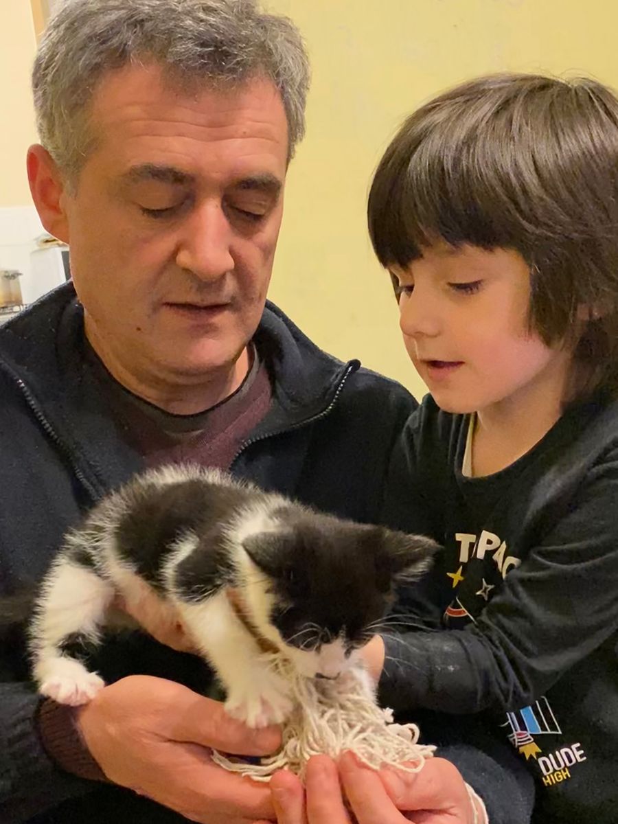 Boy died from sepsis despite four visits to London hospital in a week ...