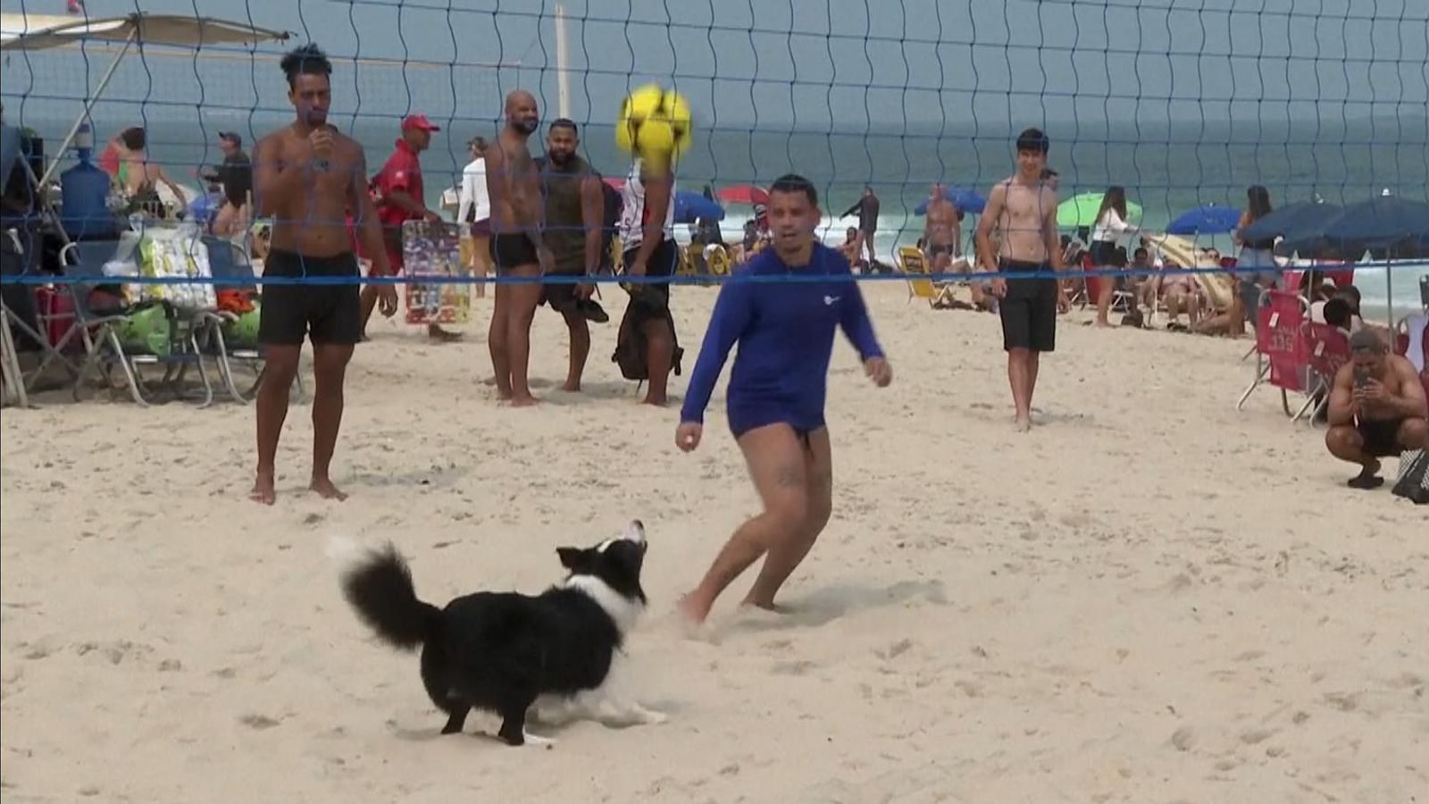 Floki the dog shows off footvolley skills on Brazilian beach | News UK ...