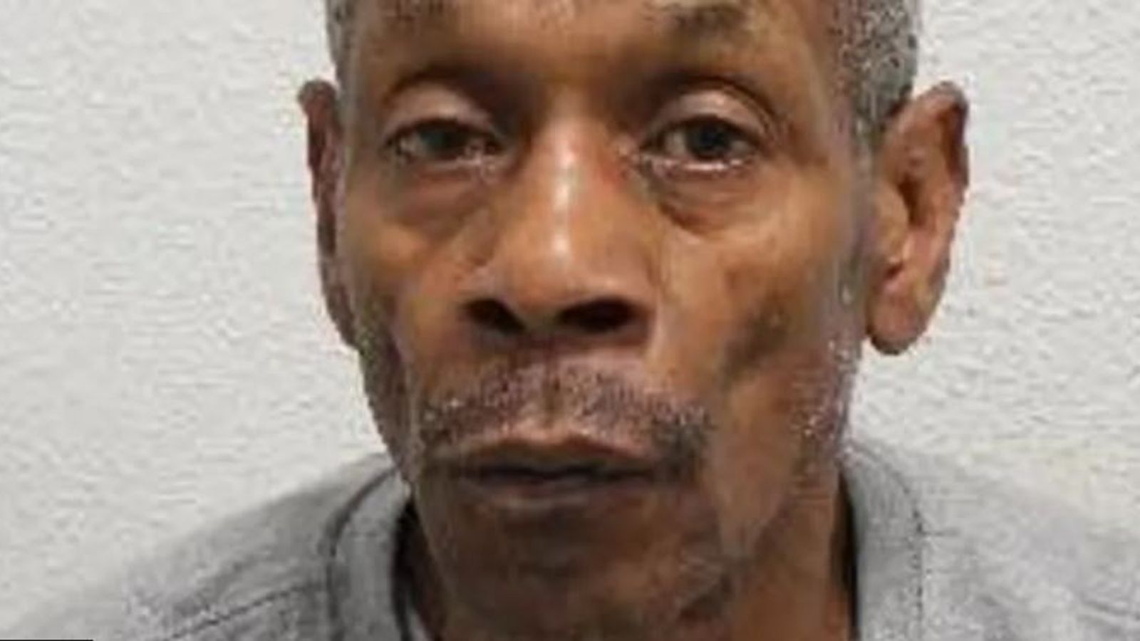 Four Met police officers under investigation after double murder by man ...