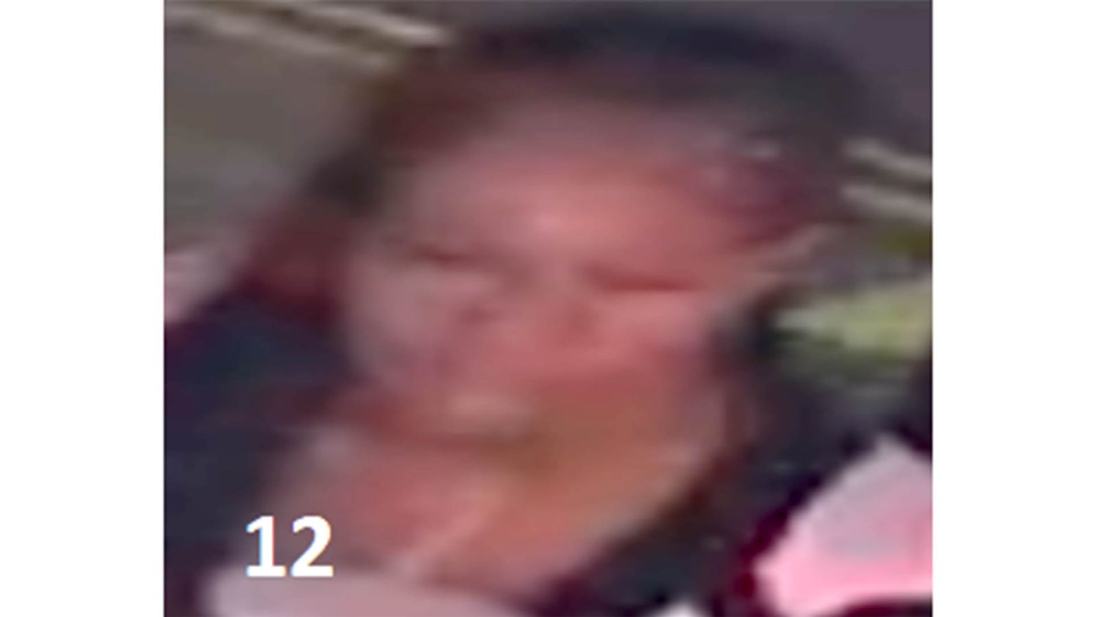 Notting Hill Carnival: Police release images of 16 witnesses sought ...