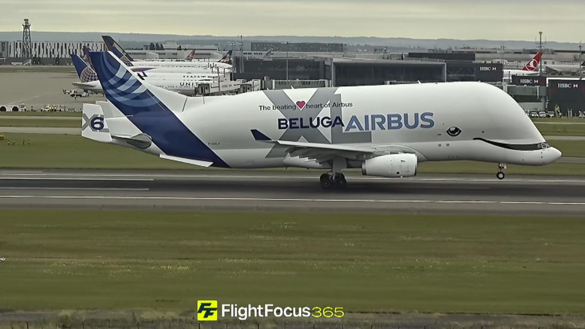 Airbus Beluga lands at London's Heathrow Airport | UK News | Sky News