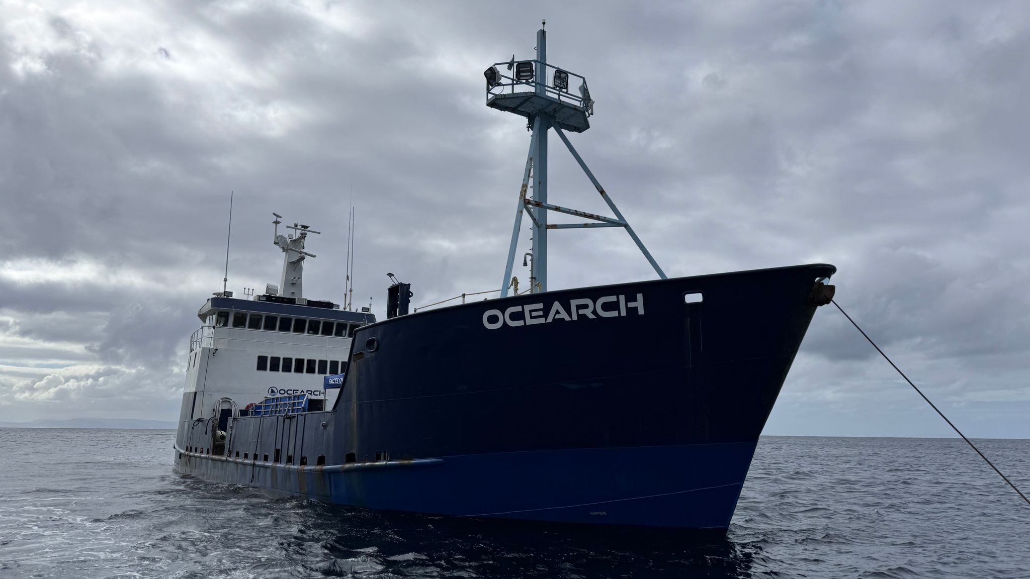 Hunt for great white sharks begins off Irish coast | World News | Sky News