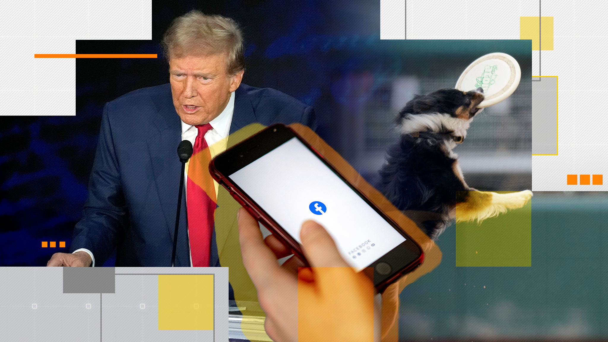 How Trump's claims of immigrants eating pets started and spiralled ...