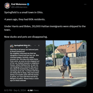 US election: Springfield woman who started pet-eating claims says she ...