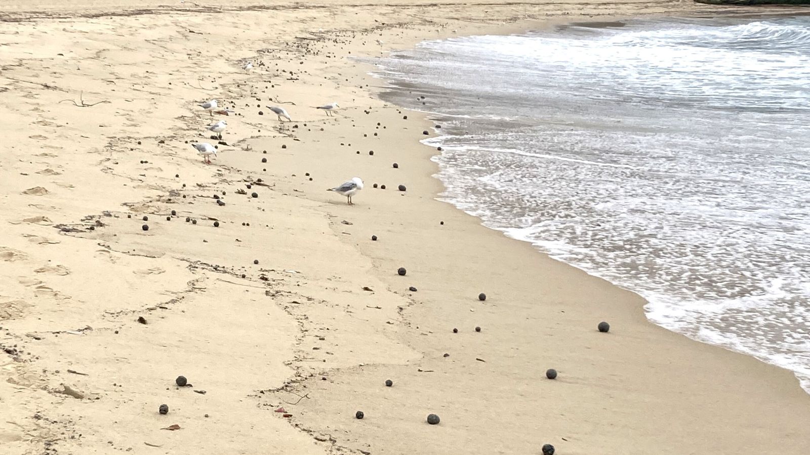 Sydney Beaches Reopen As Composition Of Mystery Balls Revealed