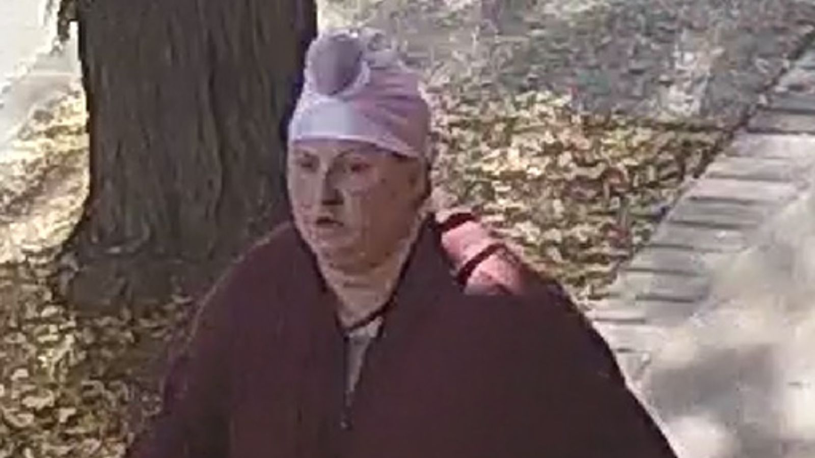 Woman arrested in Canada after three people killed in three consecutive ...