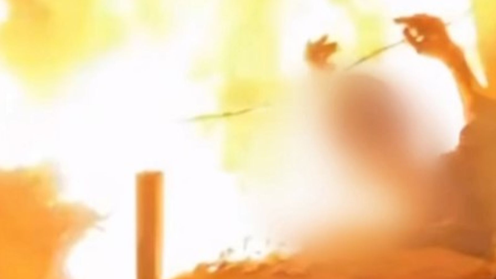 Heartbreaking story behind video of young man burnt to death after ...