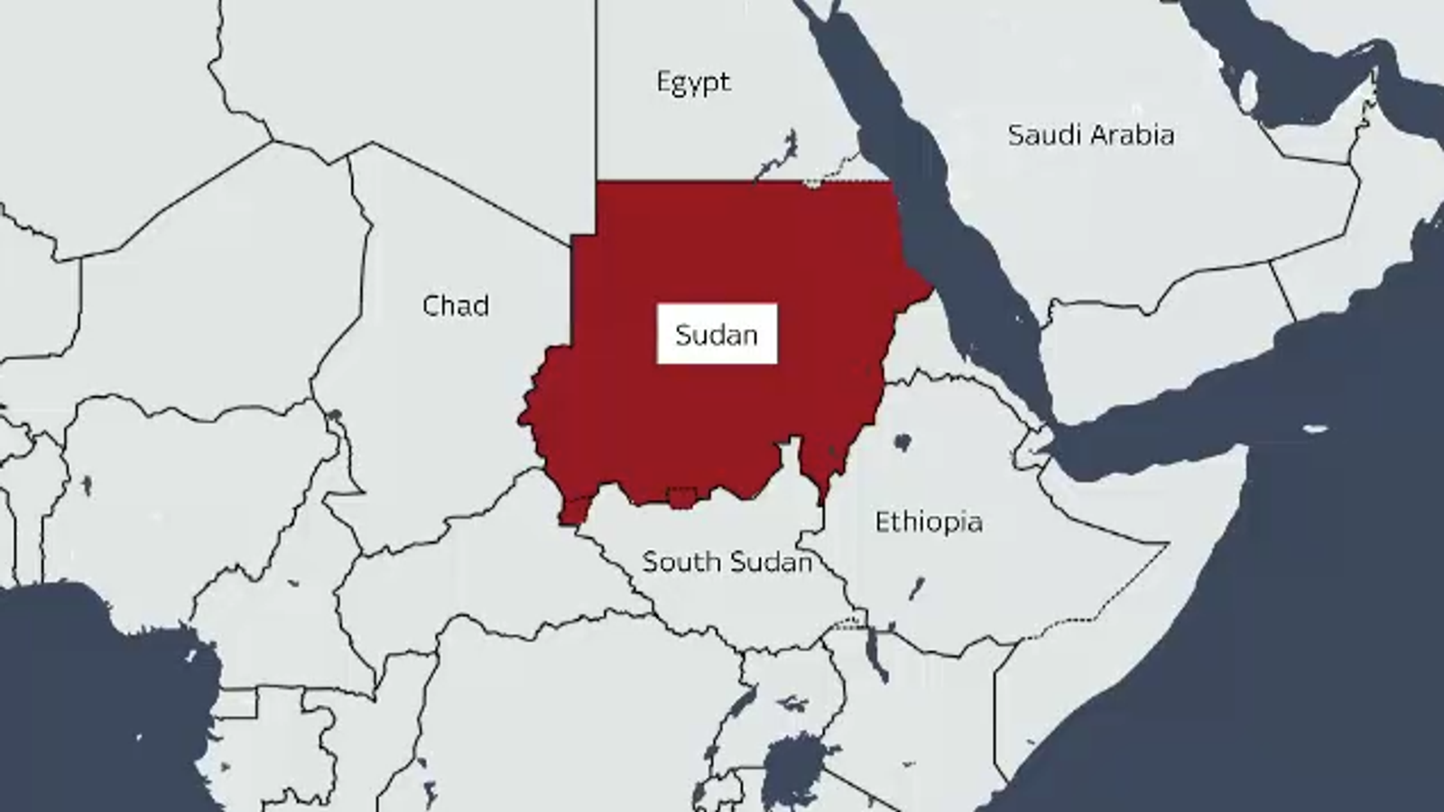 Rapid Support Forces (RSF) accused by US of committing genocide in Sudan war | World News | Sky News