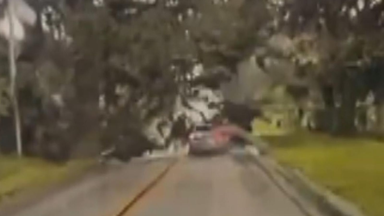 Hurricane Milton: Driver’s lucky escape as falling tree smashes into ...