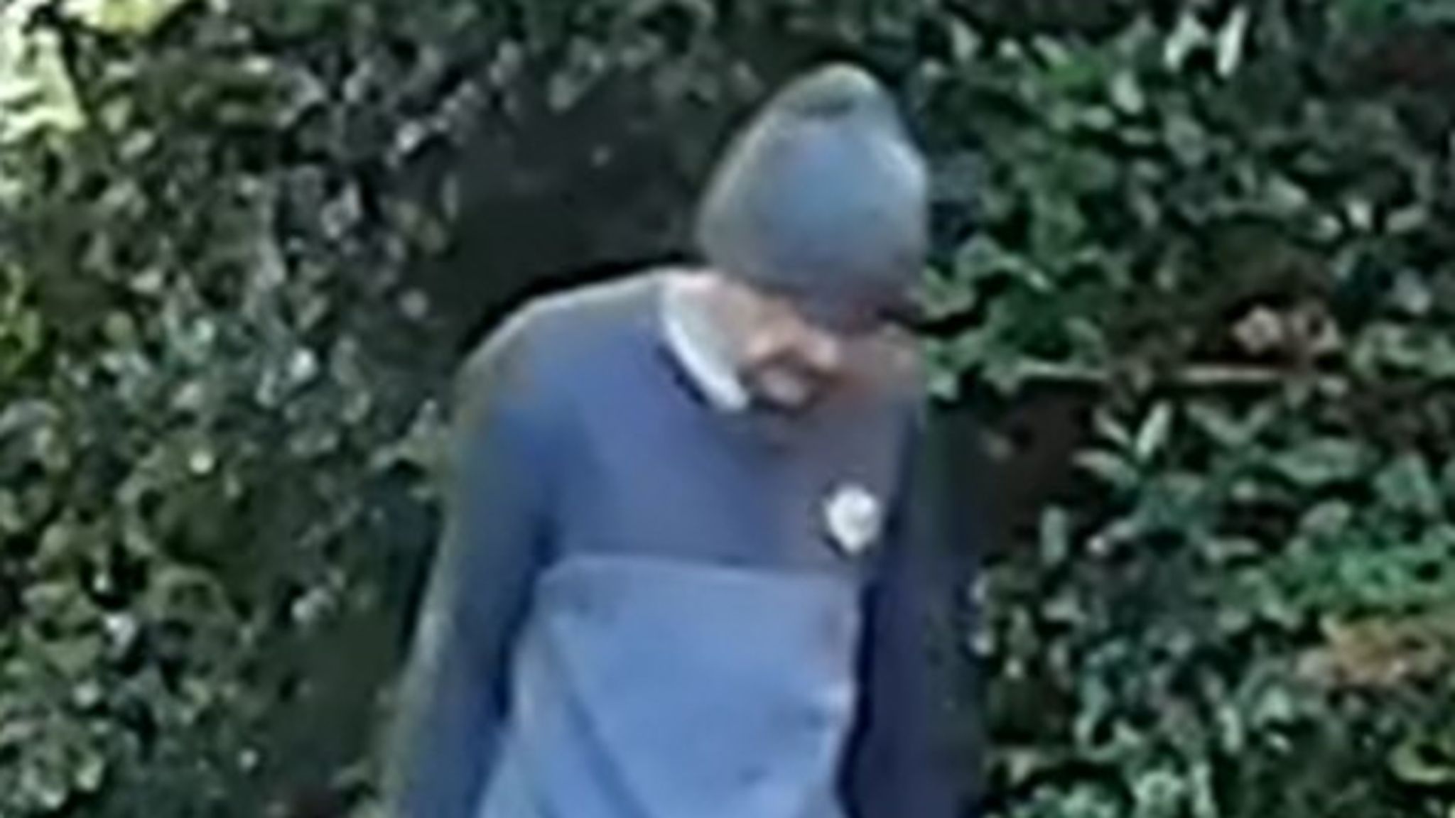 Anita Rose: New CCTV footage released of dog walker police believe was ...