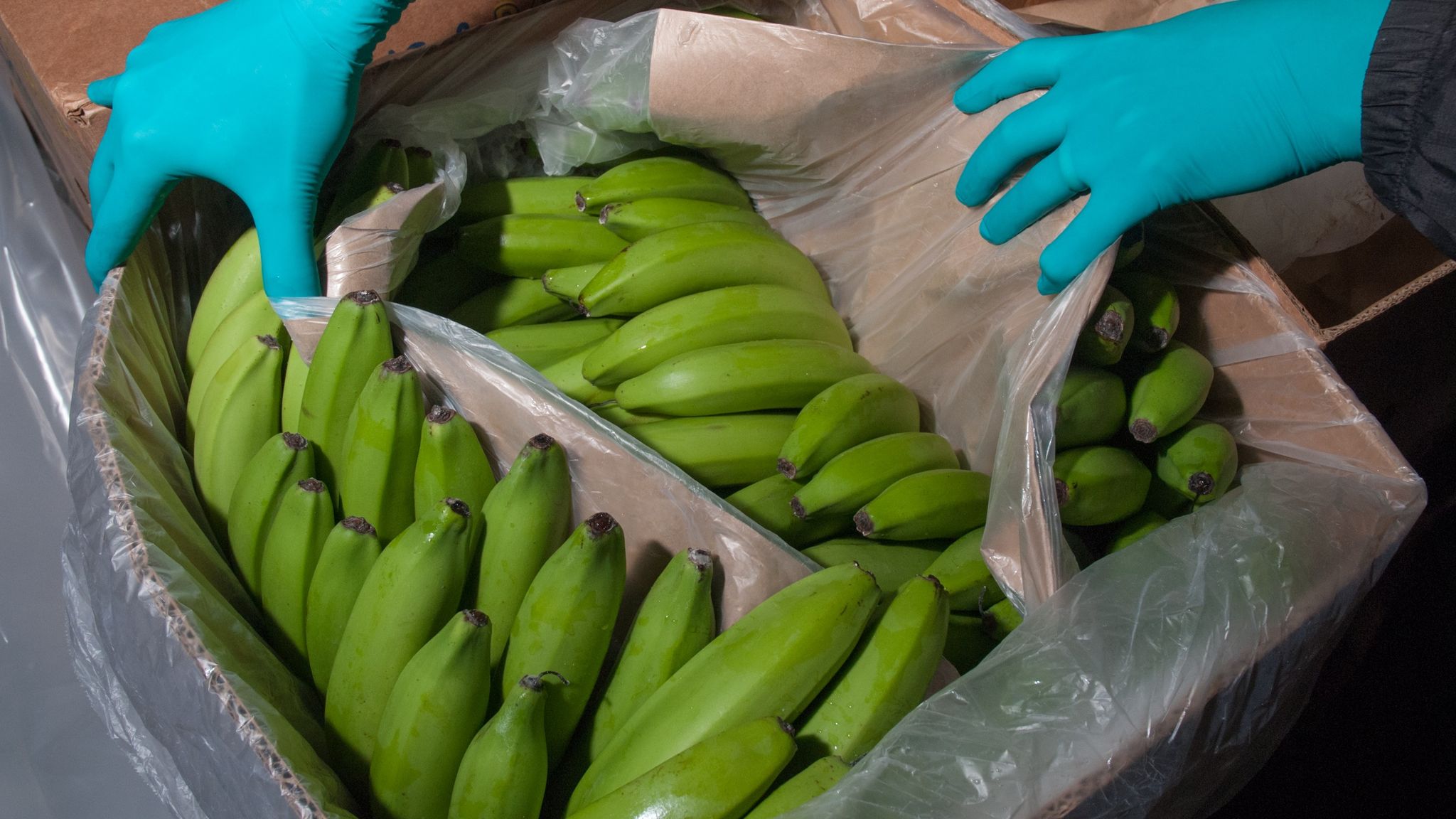 One of UK's most wanted men jailed over plot to smuggle cocaine 'worth ...