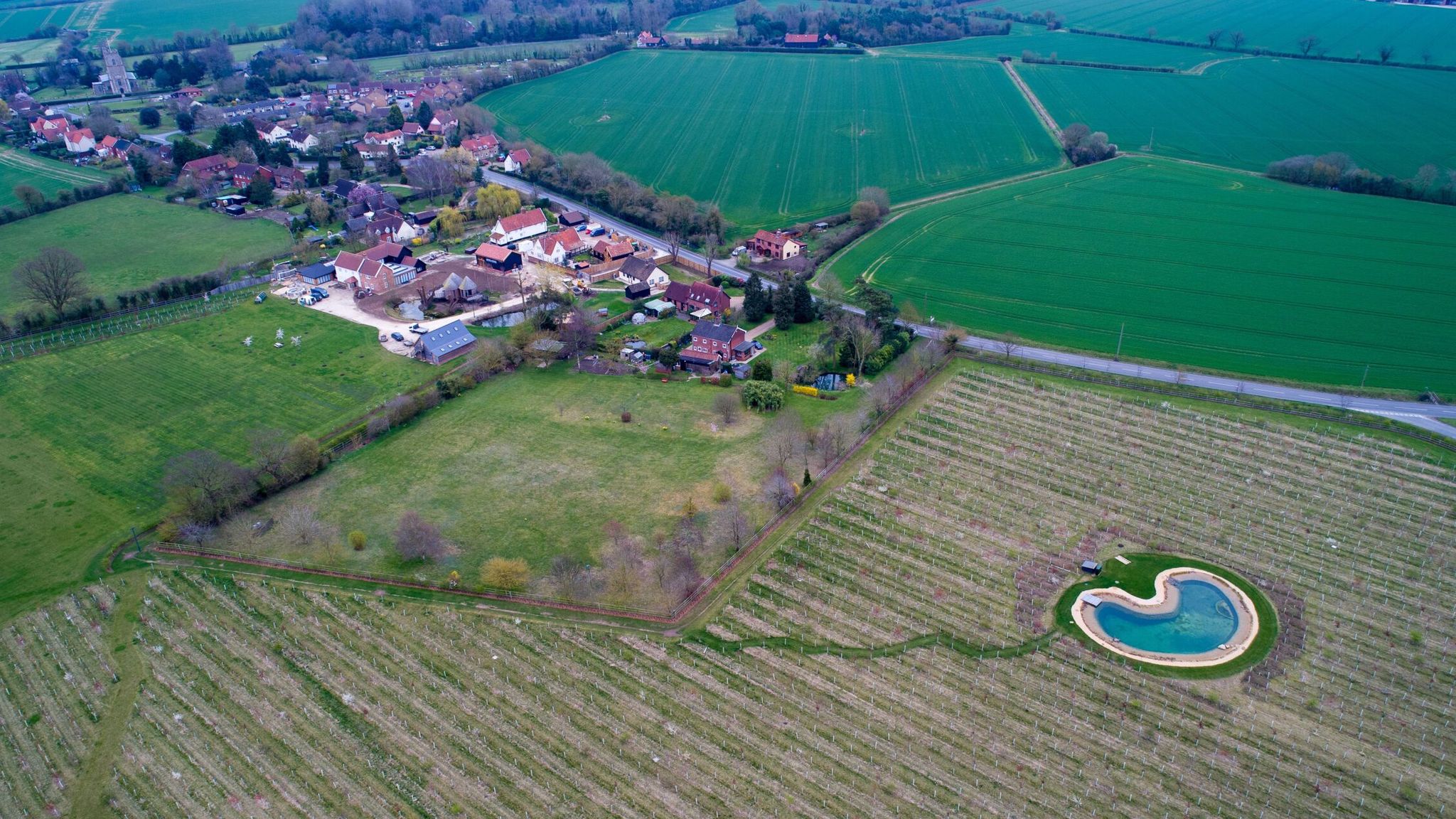 Ed Sheeran reignites swimming pool row after bombing into 'wildlife ...