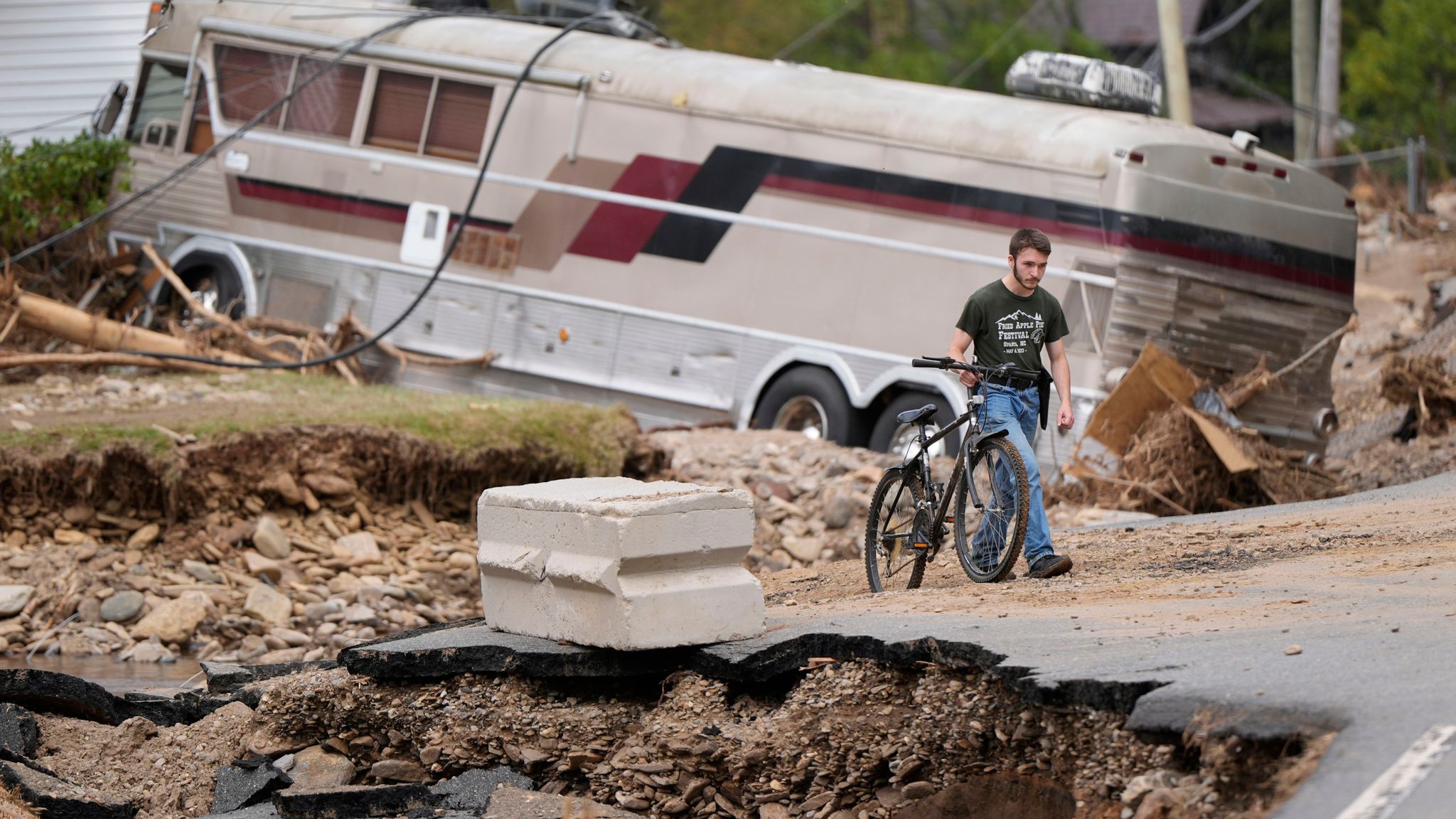Hurricane Helene: Allergy warning as floods stir up swarms of wasps ...