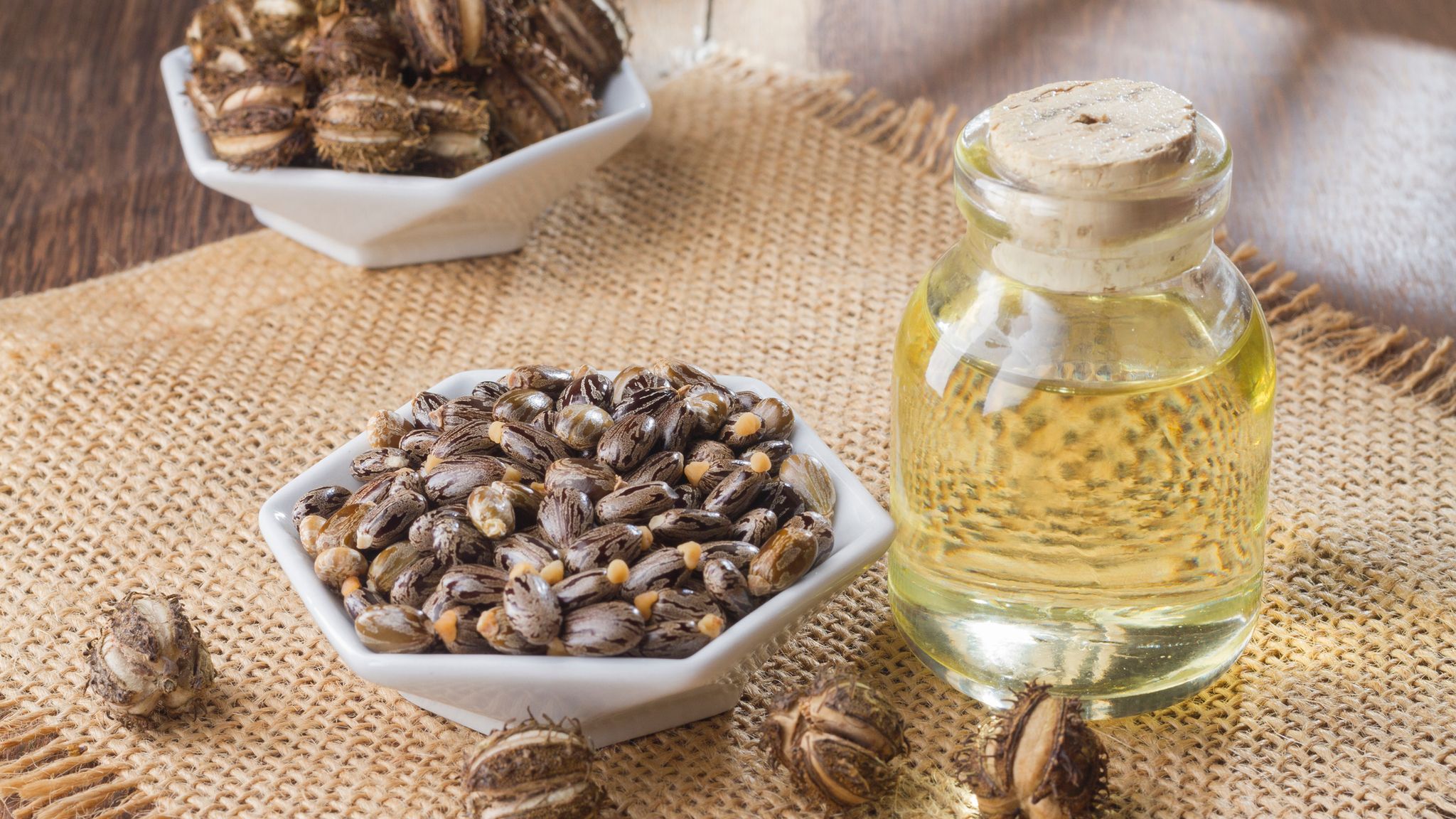 What is ricin - the biological substance police say they found at ...