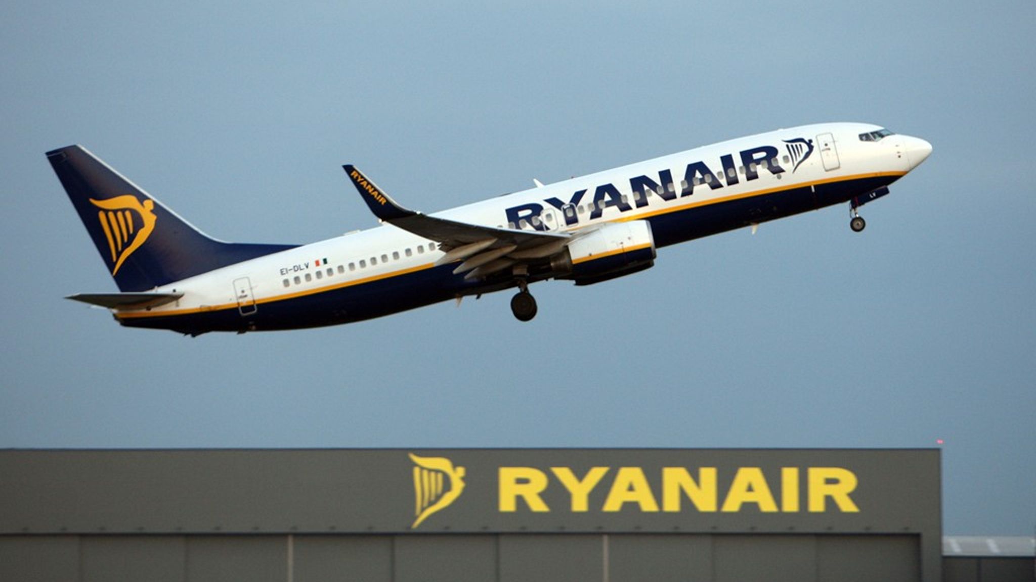 Ryanair sees profits dive after challenging summer | Money News | Sky News