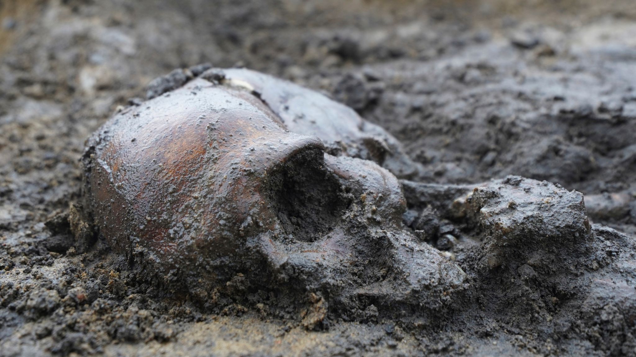 50 'well-preserved' skeletons from Viking Age unearthed in Denmark ...