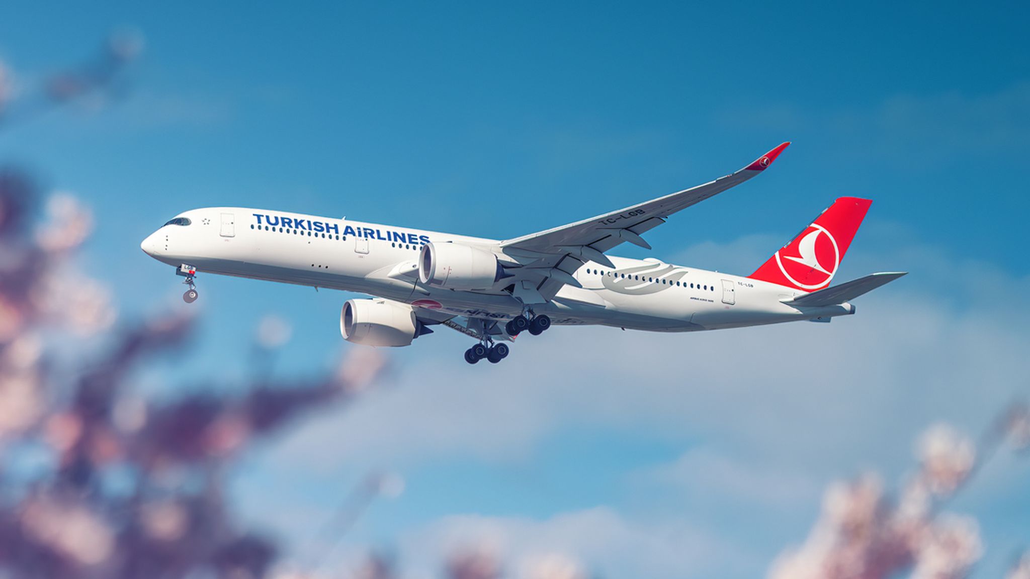 Turkish Airways Vor 50 Jahren Startete Der Erste Flug Von Turkish