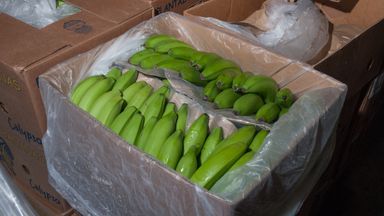 The Godfather-style gang war gripping two major cities - with brutal ...