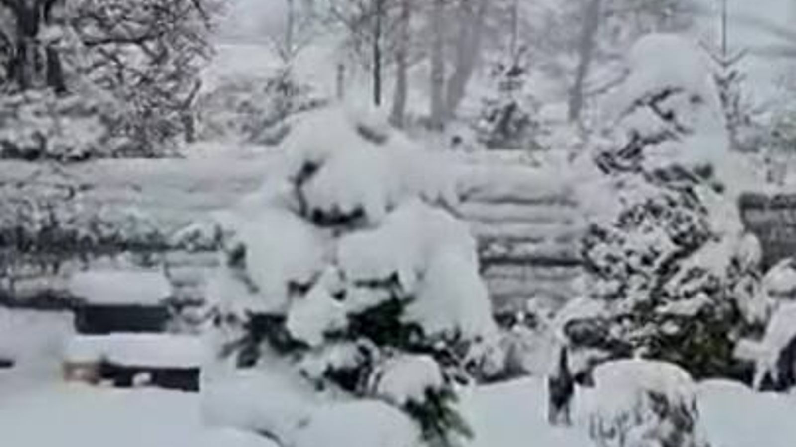 Storm Bert leaves 60,000 without power as weather warnings for snow ...