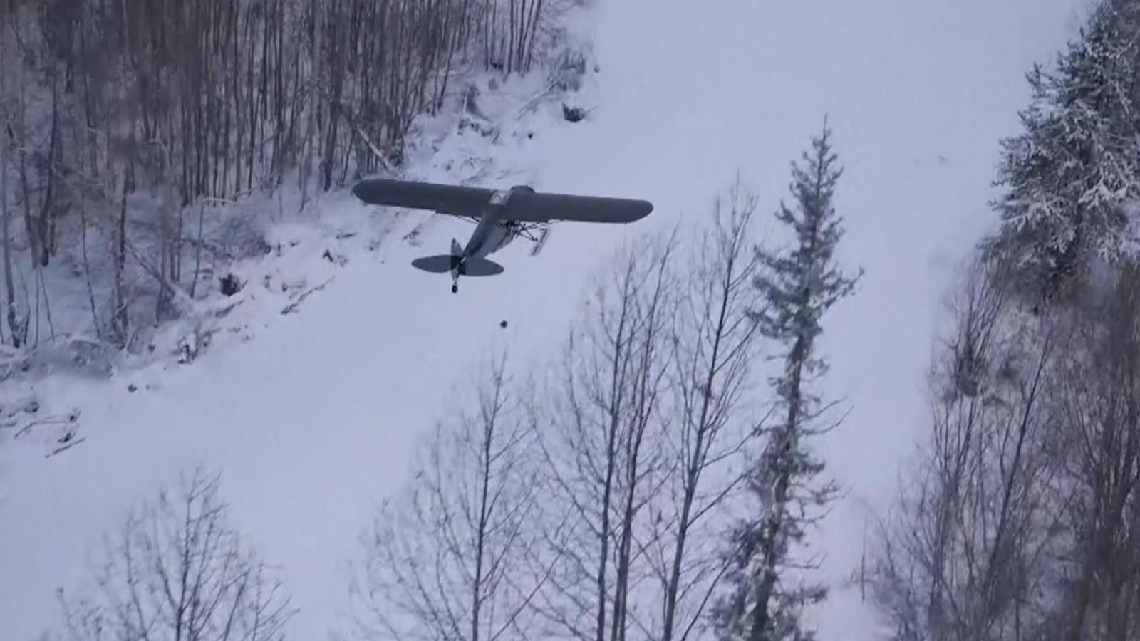 Thanksgiving turkeys dropped from planes for people in off-grid Alaska ...