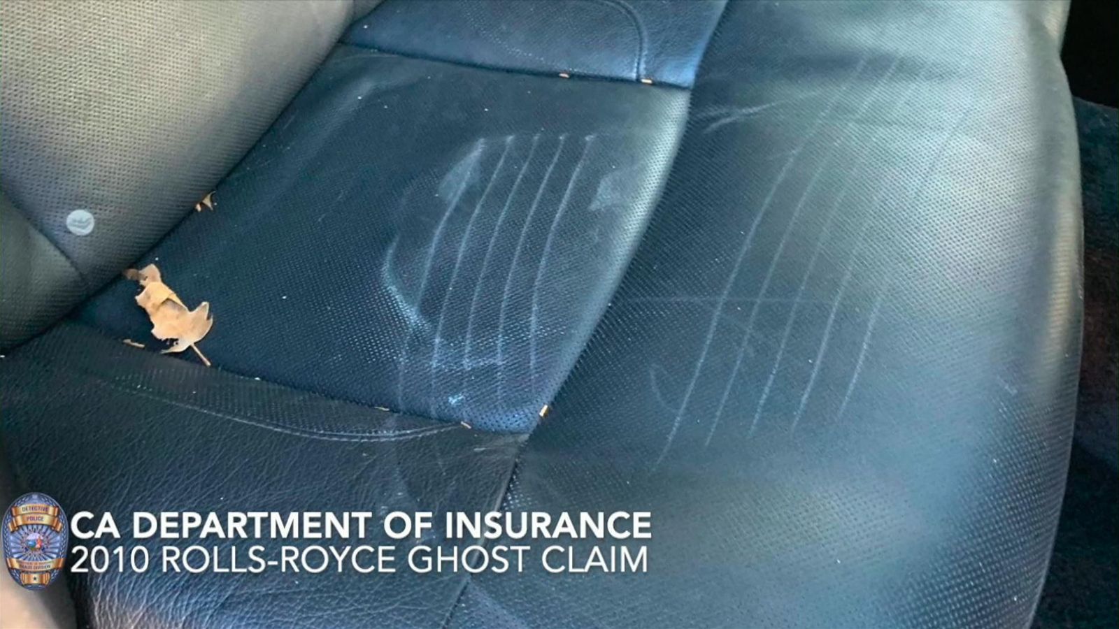 Four arrested on suspicion of insurance fraud after 'person in bear ...